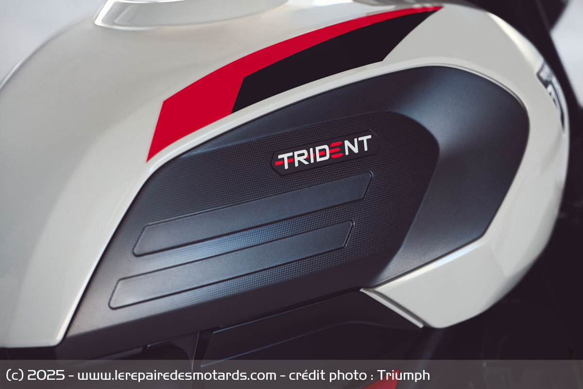 Roadster Triumph Trident 800