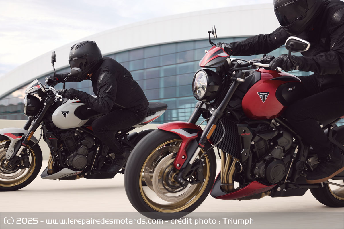 Roadster Triumph Trident 800