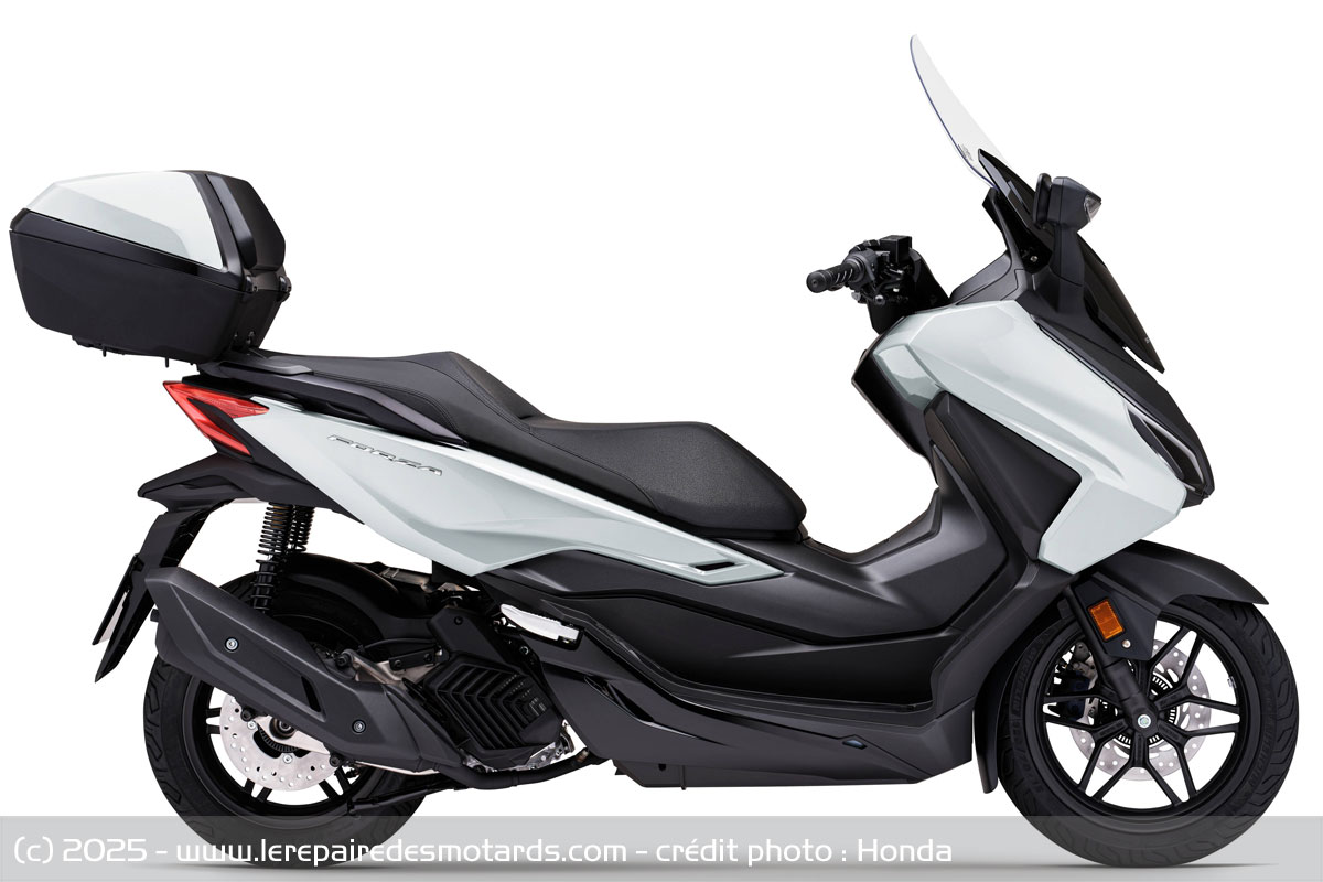 Scooters Honda Forza 2026
